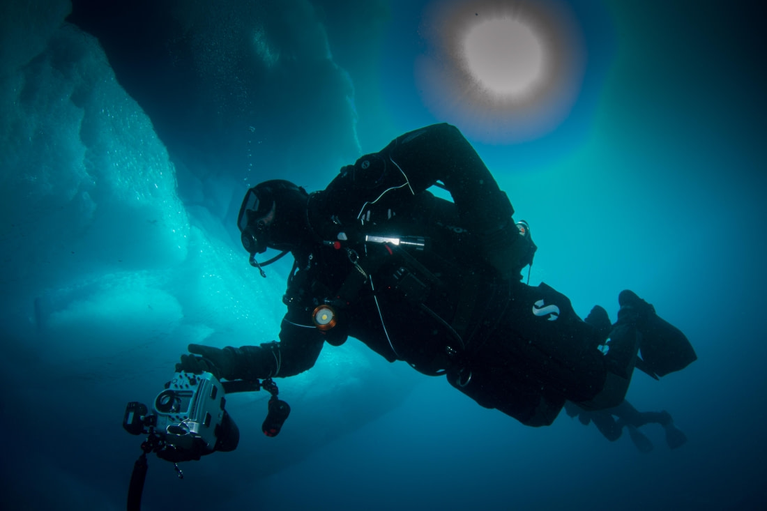 Polar Diving in Greenland – A Journey Beneath the Ice – Java Travel